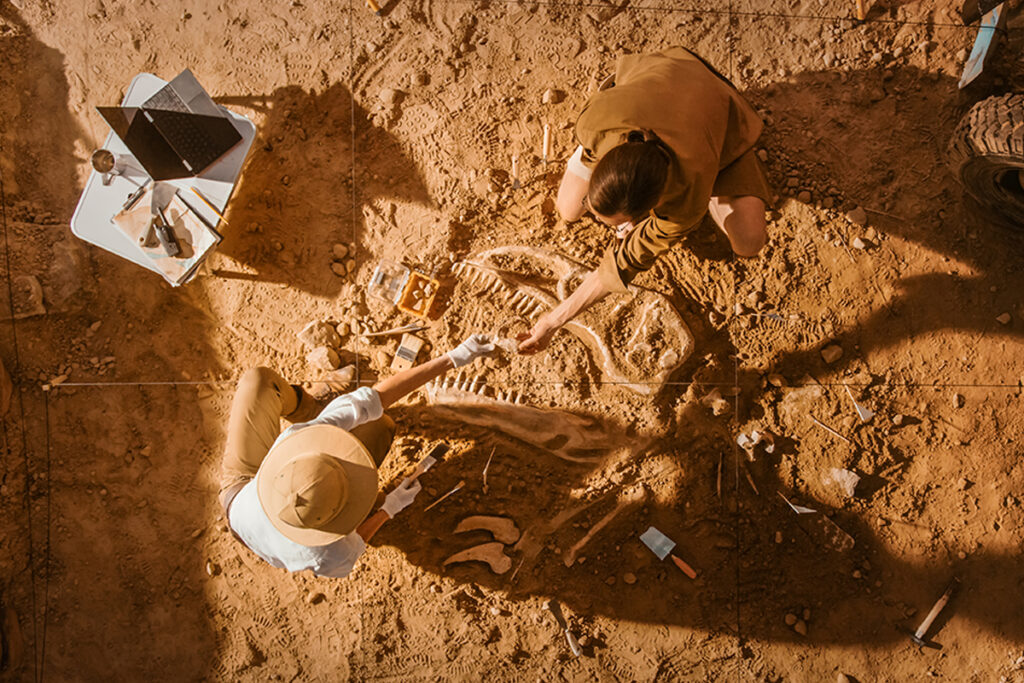 Fossil Discovery Reveals Intense Battle between Dinosaur and Mammal